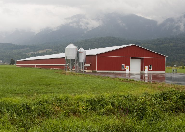 Essential Maintenance Checklist for Long-Lasting Chicken Barns – Blog ...